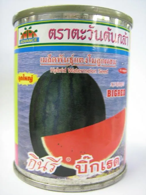 เมล็ดพันธุ์แตงโม (Watermelon "Kinaree Big Red") โดยบริษัท แกรนด์บิซ ...