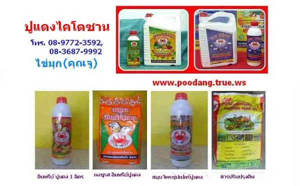 ปูแดงไคโตซานครบชุดจำหน่ายปลีกและส่งทุกรายการ Poodang โดยปูแดงไคโตซาน จ. ...