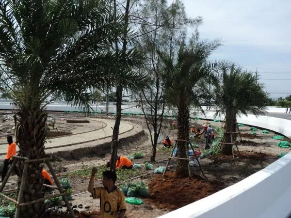 งานจัดสวน โดยคุณโอ๋พันธุ์ไม้ อ.เมืองปราจีนบุรี จ.ปราจีนบุรี รหัสสินค้า 148745