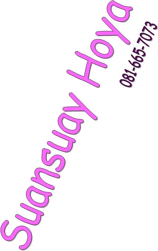 Hoya subcalva ไม้นิ้ว โดยsuansuayhoya อ.โพธาราม จ.ราชบุรี รหัสสินค้า 153140