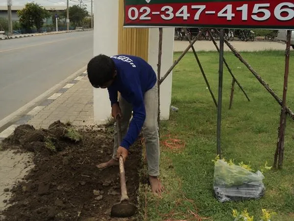 จัดสวน โดยคุณโอ๋พันธุ์ไม้ อ.เมืองปราจีนบุรี จ.ปราจีนบุรี รหัสสินค้า 172060