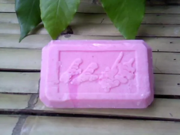สบู่น้ำนมข้าวกล้องงอก , Gaba Rice Milk Soap โดยCHON เขตบึงกุ่ม ...