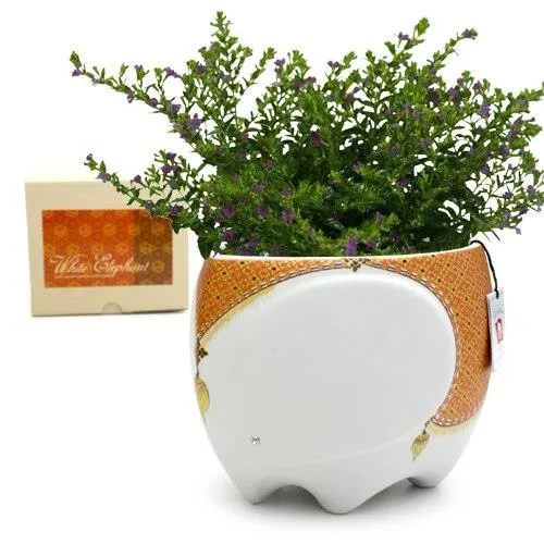 กระถางเซรามิก โดยjindarat อ.เมืองนครราชสีมา จ.นครราชสีมา รหัสสินค้า 190490