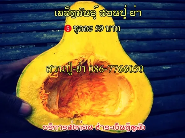 เมล็ดพันธุ์ผัก พื้นเมือง พื้นบ้าน โดยสวนปู่-ย่า อ.ลอง จ.แพร่ รหัสสินค้า ...