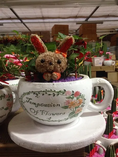 C003 Cofty โดยDMGGardeN กรุงเทพมหานคร รหัสสินค้า 241232