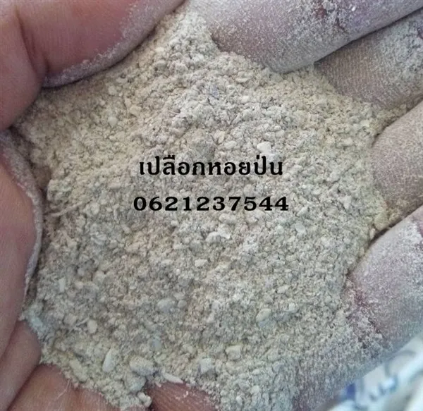 เปลือกหอยป่น โดยวัตถุดิบอาหารสัตว์ อ.เมืองราชบุรี จ.ราชบุรี รหัสสินค้า ...