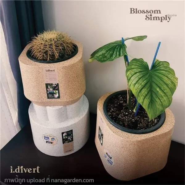 กระถางโพลิเมอร์ โดยladdagarden อ.ลาดหลุมแก้ว จ.ปทุมธานี รหัสสินค้า 351140