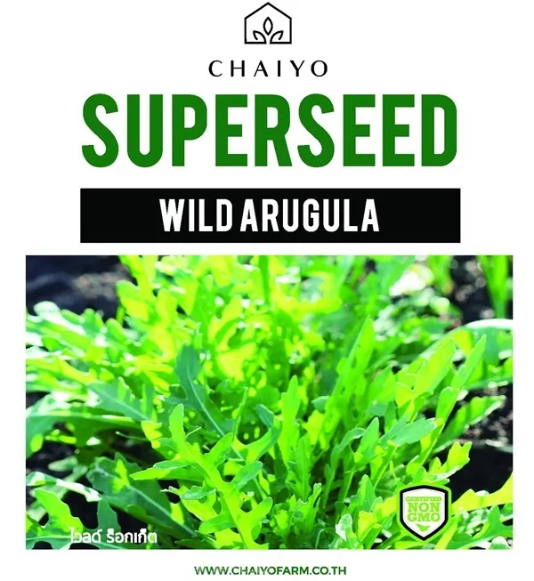 เมล็ด WILD ARUGULA (Wild Rocket) ไวลด์ ร็อกเก็ต โดยบริษัท ชัยโยฟาร์ม ...
