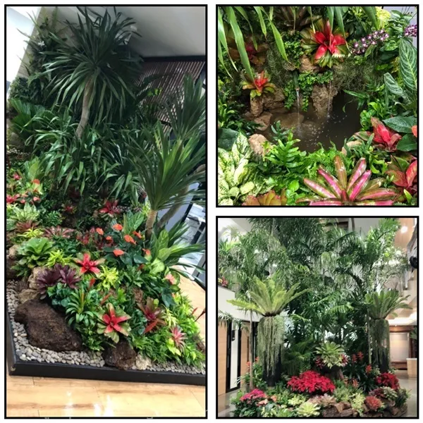 รับจัดสวน ภายใน ภายนอก อาคาร โดยKuldee Garden เขตมีนบุรี กรุงเทพมหานคร ...