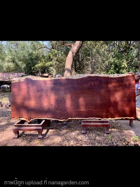 ไม้ประดู่ลายแผ่นใหญ่ โดยraygan จ.ขอนแก่น รหัสสินค้า 360439