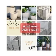 กระถางปูนเปลือย โดยสวนป้าแตงคลอง 14 จ.ปทุมธานี รหัสสินค้า 365505