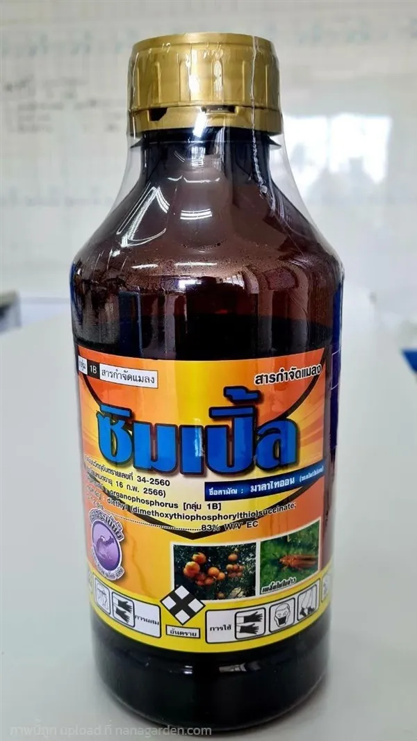 ซิมเปิ้ล ป้องกันกำจัด เพลี้ย แมลงหวี่ หนอน โดยกม.๔เกษตรพันธุ์ อ. ...